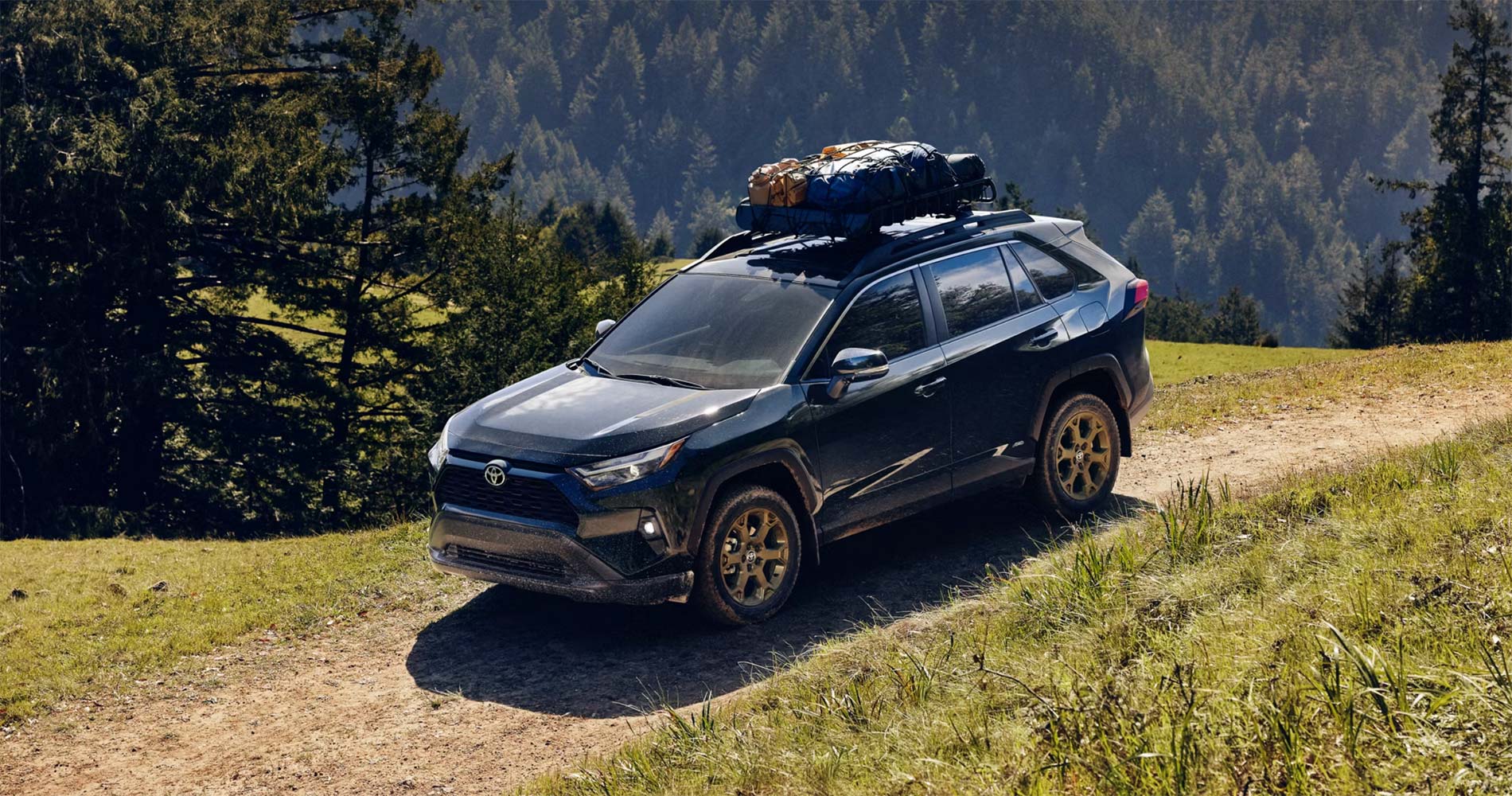 Canadian Manufactured Brands in Mississauga | Tabangi Motors